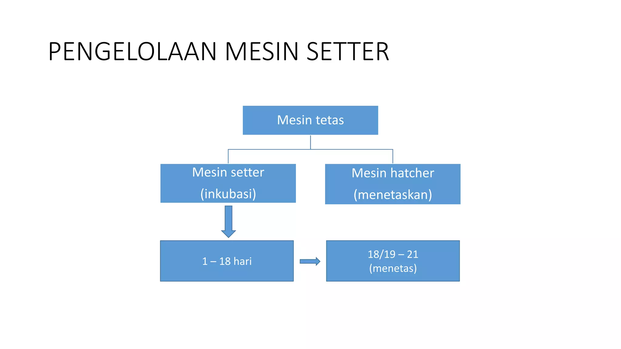 Proses Penetasan Telur Tetas | PPTX