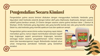 PPT PENGEDALIAN GULMA TANAMAN KOPI ABCSDE | PPTX