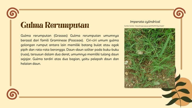 PPT PENGEDALIAN GULMA TANAMAN KOPI ABCSDE | PPTX