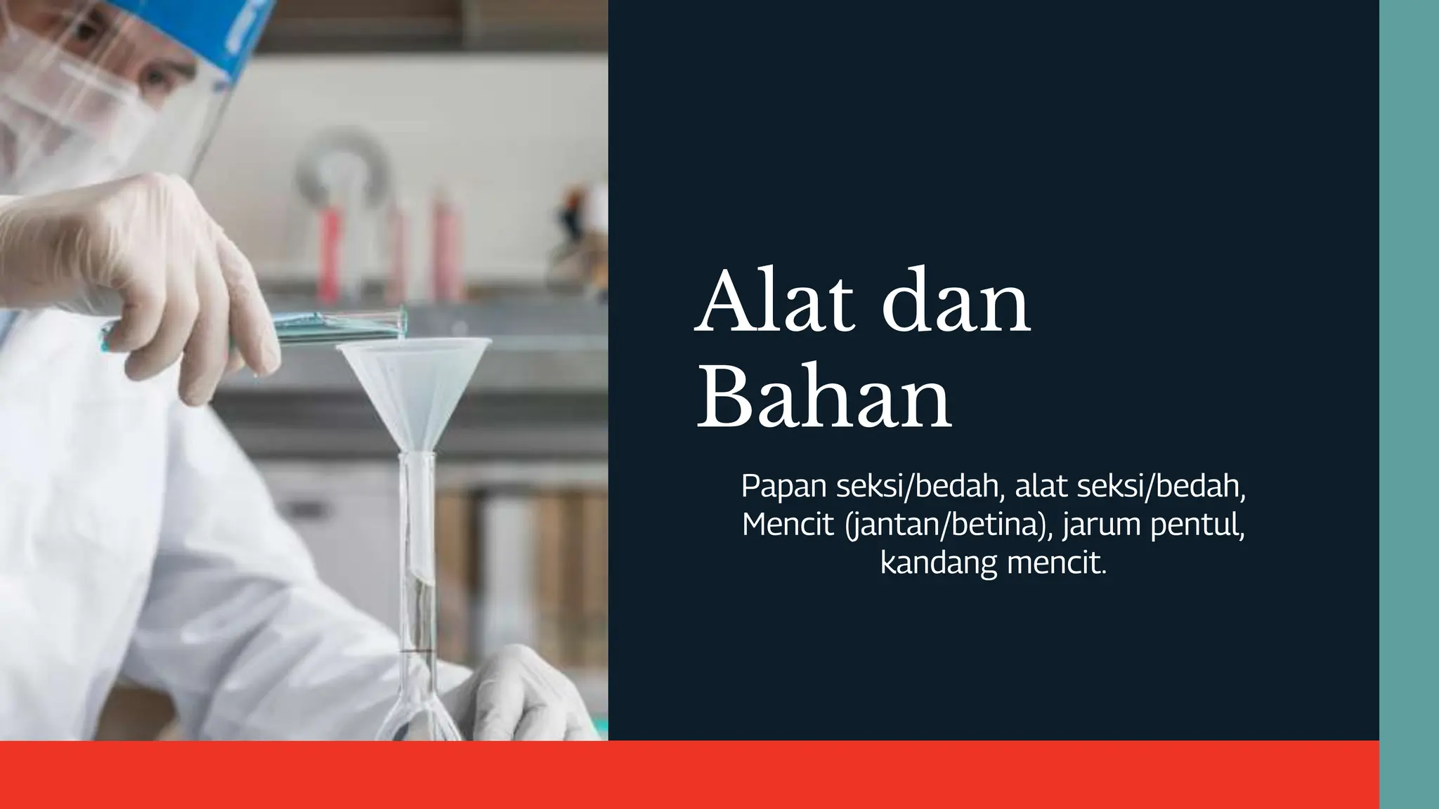 PPT PENGENALAN DAN PENANGANAN HEWAN COBA.pptx