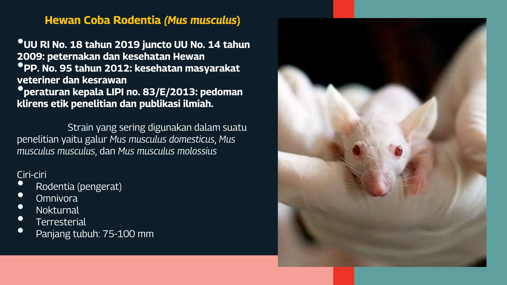 PPT PENGENALAN DAN PENANGANAN HEWAN COBA.pptx