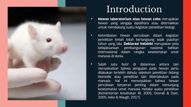 PPT PENGENALAN DAN PENANGANAN HEWAN COBA.pptx