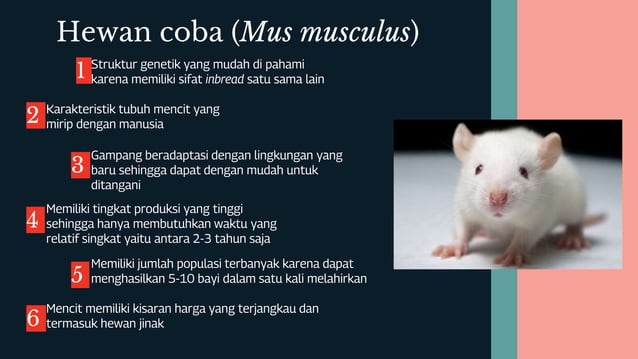 PPT PENGENALAN DAN PENANGANAN HEWAN COBA.pptx