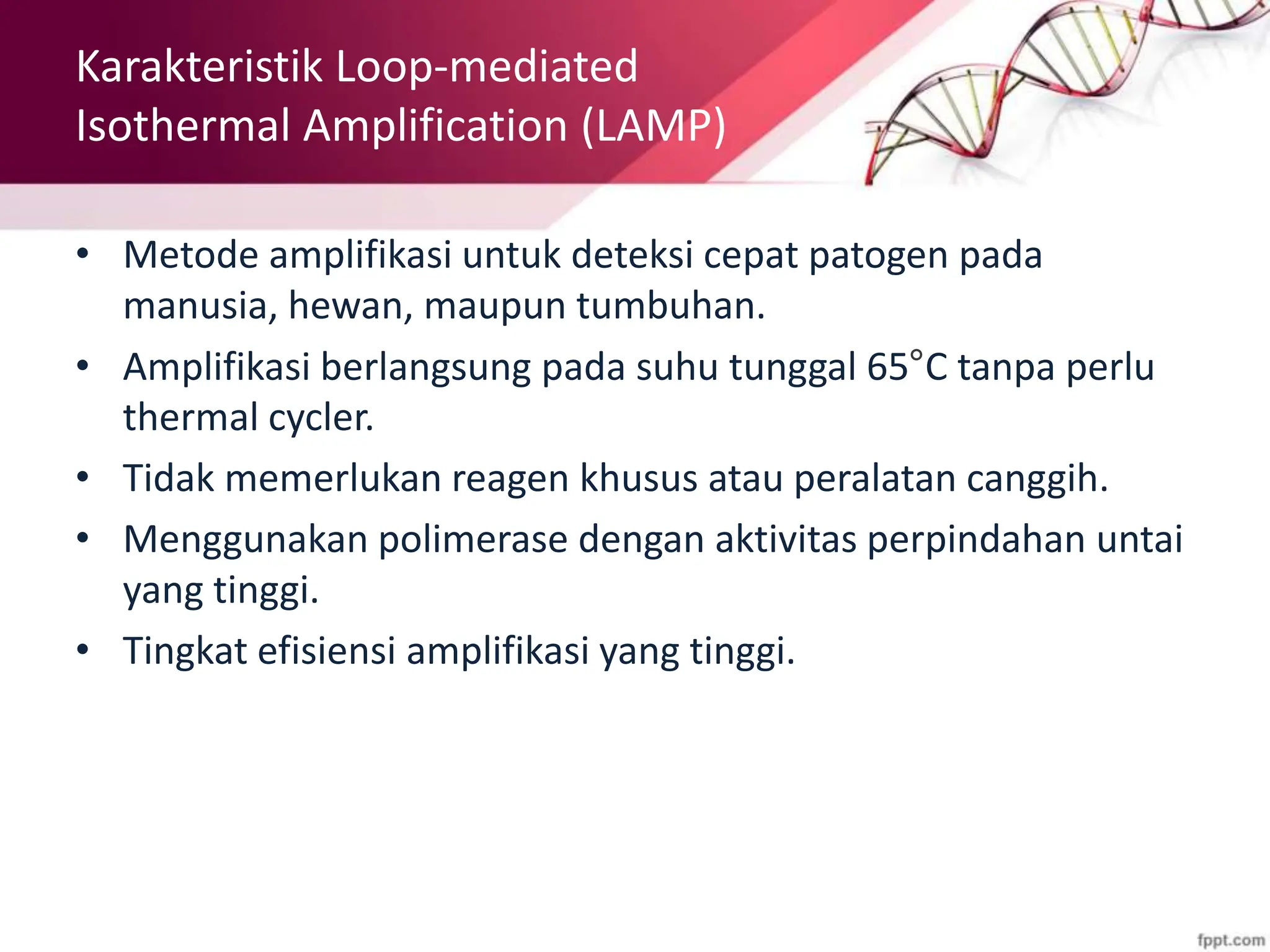 PPT Pengenalan Dasar Polymerase Chain Reaction (PCR) dan Loop-Mediated Isothermal Amplification ...