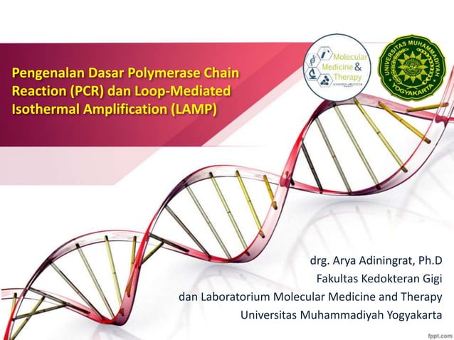 PPT Pengenalan Dasar Polymerase Chain Reaction (PCR) dan Loop-Mediated Isothermal Amplification ...