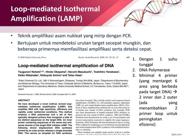 PPT Pengenalan Dasar Polymerase Chain Reaction (PCR) dan Loop-Mediated ...