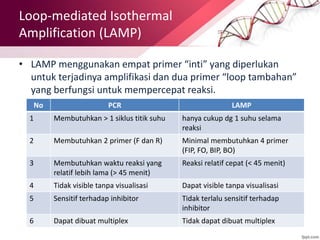 PPT Pengenalan Dasar Polymerase Chain Reaction (PCR) dan Loop-Mediated ...
