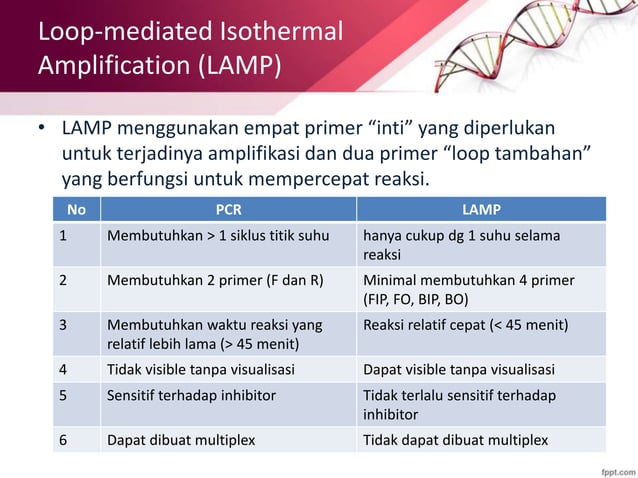 PPT Pengenalan Dasar Polymerase Chain Reaction (PCR) dan Loop-Mediated ...