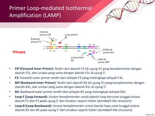 PPT Pengenalan Dasar Polymerase Chain Reaction (PCR) dan Loop-Mediated ...