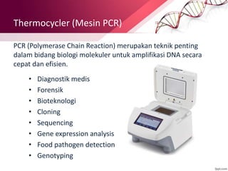 PPT Pengenalan Dasar Polymerase Chain Reaction (PCR) dan Loop-Mediated ...