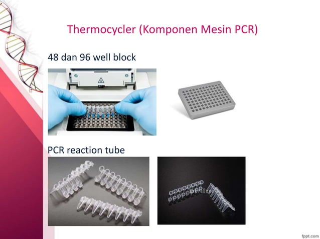 PPT Pengenalan Dasar Polymerase Chain Reaction (PCR) dan Loop-Mediated ...