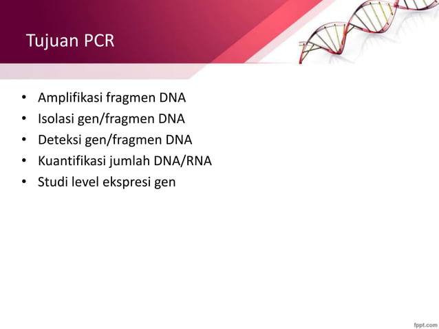 PPT Pengenalan Dasar Polymerase Chain Reaction (PCR) dan Loop-Mediated Isothermal Amplification ...