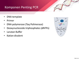 PPT Pengenalan Dasar Polymerase Chain Reaction (PCR) dan Loop-Mediated ...