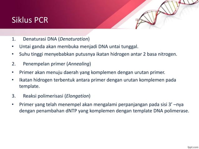 PPT Pengenalan Dasar Polymerase Chain Reaction (PCR) dan Loop-Mediated ...
