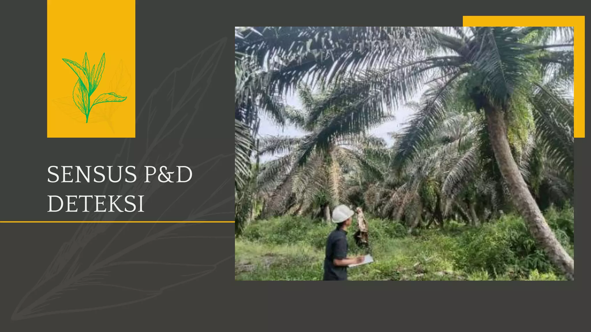ppt pengendalian tikus.pptx