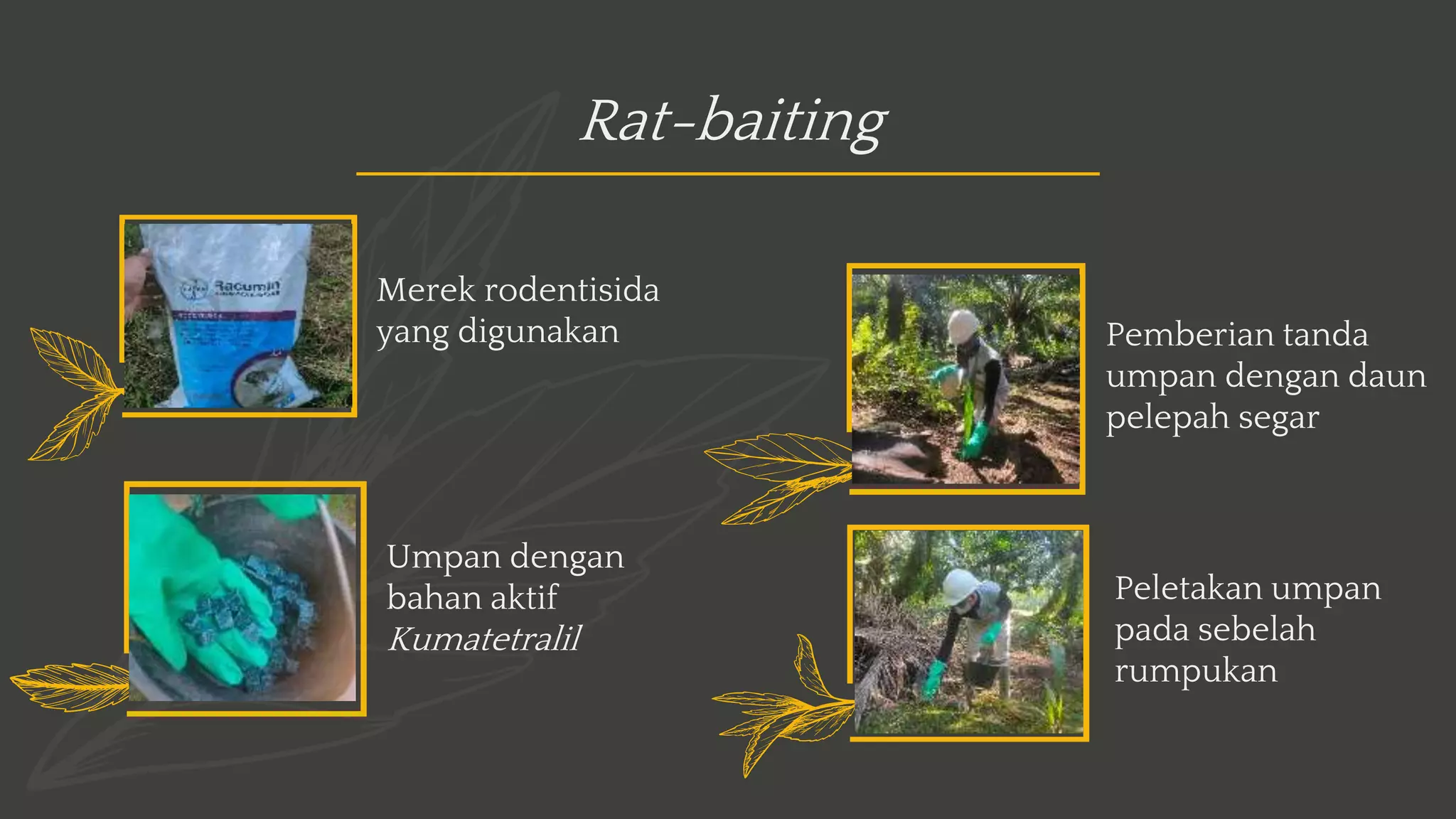 ppt pengendalian tikus.pptx