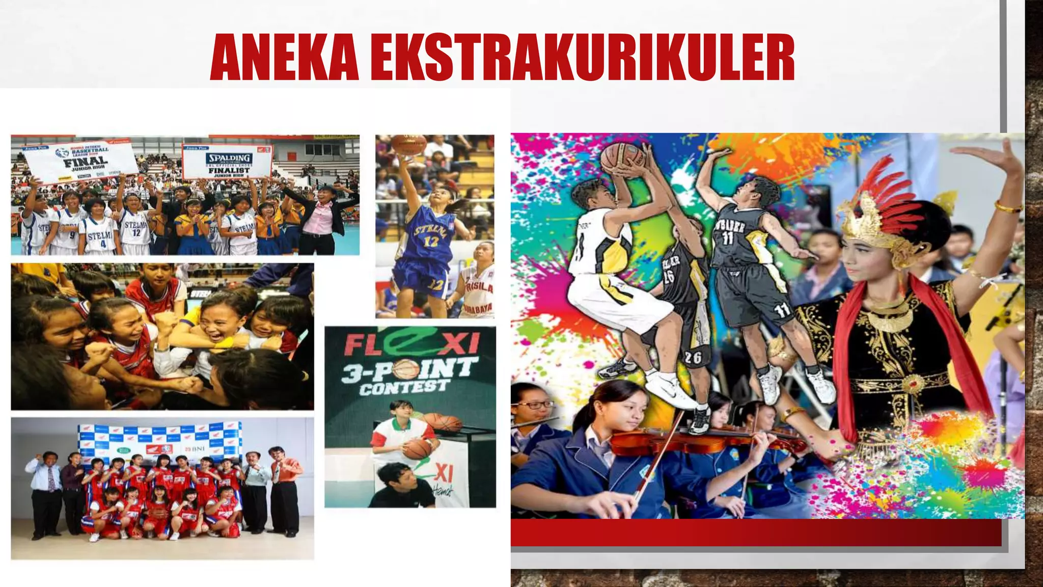 Ppt pengertian tujuan fungsi ekstrakurikuler | PPTX