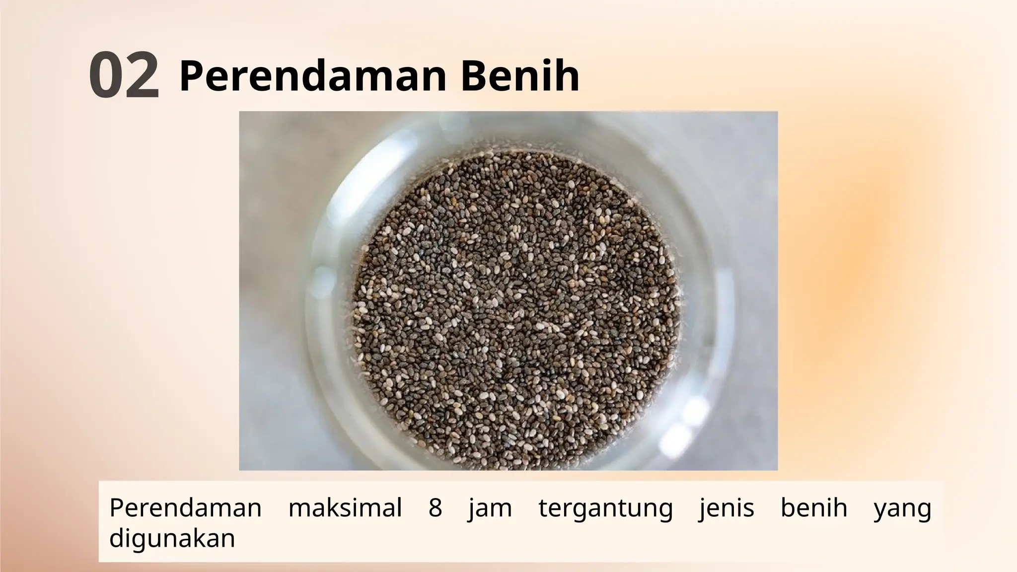 PPT Pengabdian kepada masyarakat Microgreens.pptx