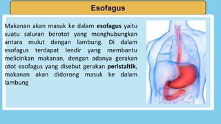 PPT Pengukuran Kelas VII Kurikulum Merdeka | PPTX