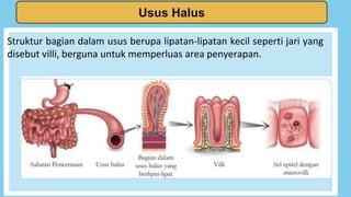 PPT Pengukuran Kelas VII Kurikulum Merdeka | PPTX