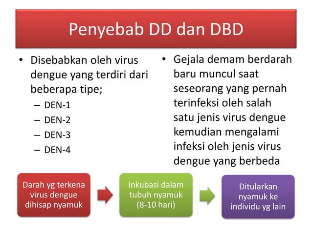 PPT PENKES DHF.pptx