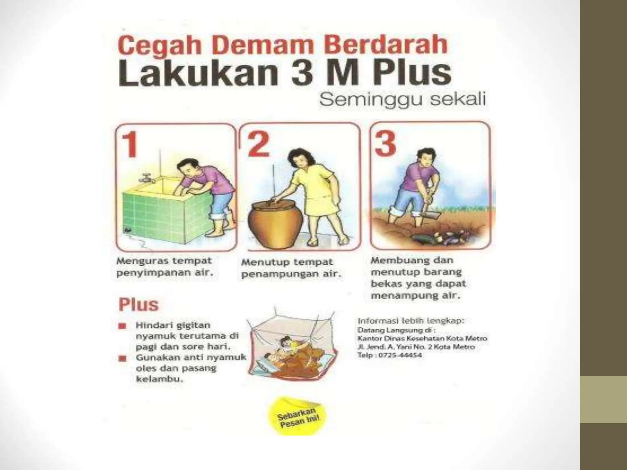PPT PENYAKIT PANCAROBA DAN PENCEGAHANNYA.ppt