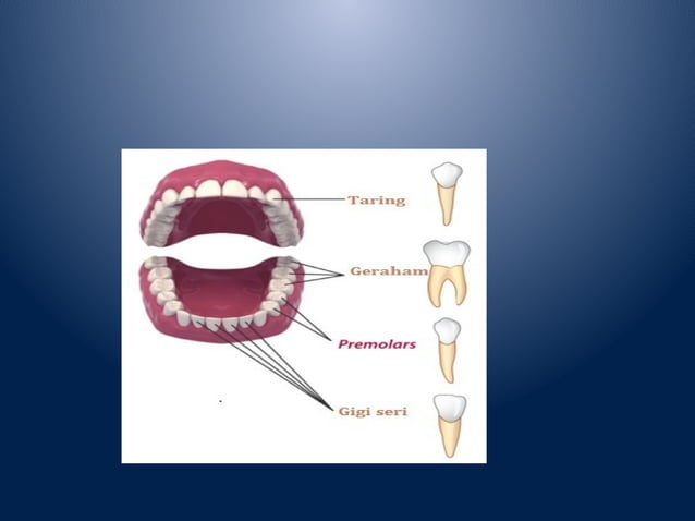 PPT PENYULUHAN KESEHATAN GIGI DAN MULUT.pptx