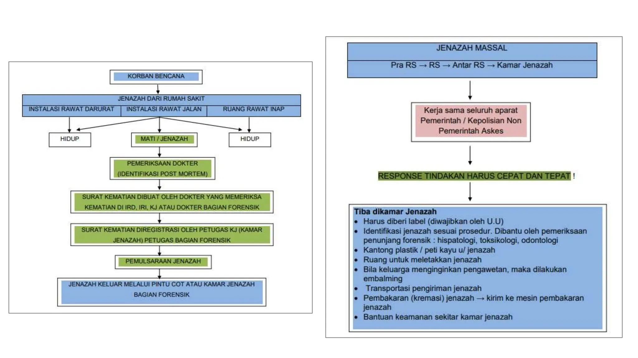 PPT Penyuluhan Penerbitan Surat Kematian Tidak Wajar.pptx