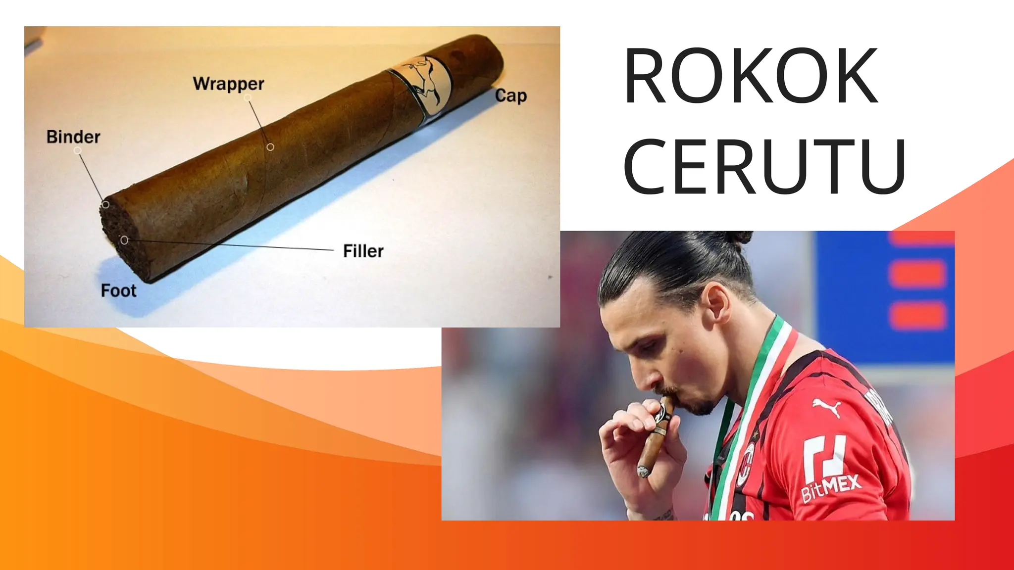 PPT PENYULUHAN ROKOK UTK MASYARAKAT.pptx