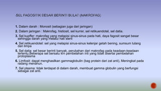 ppt peradangan klmpk 7_patologi.pptx