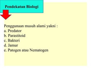 PPT_Peranan_Serangga_Bagi_Kehidupan_Manu.pptx