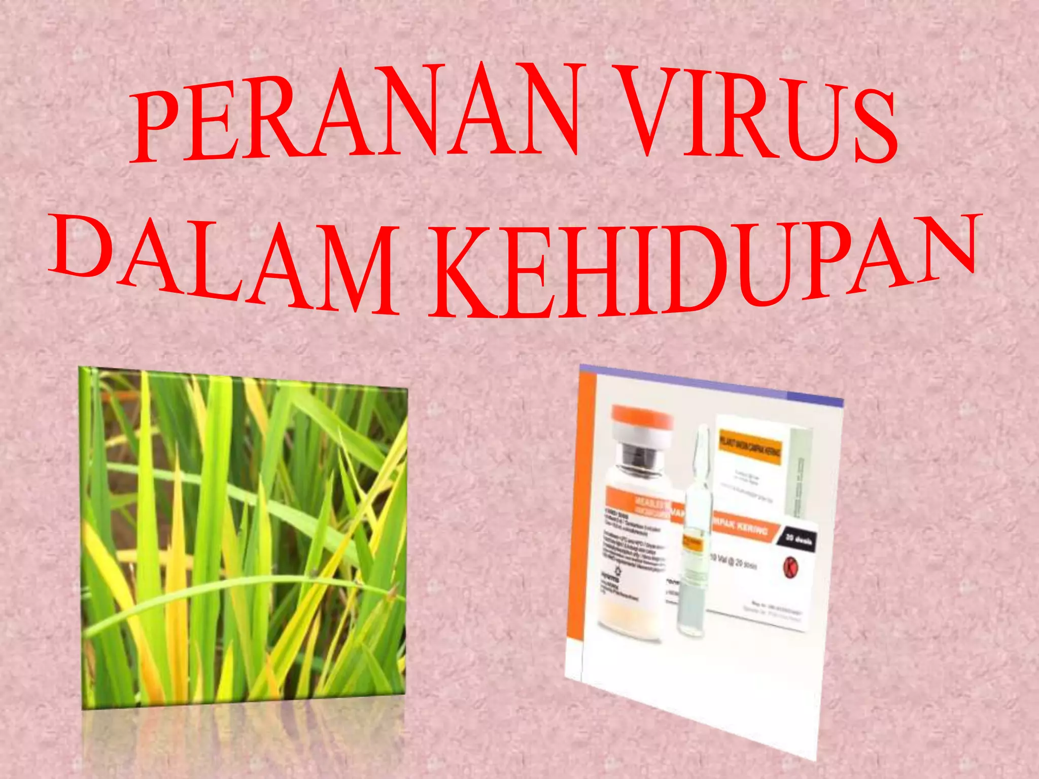 PPT PERANAN VIRUS.pptx