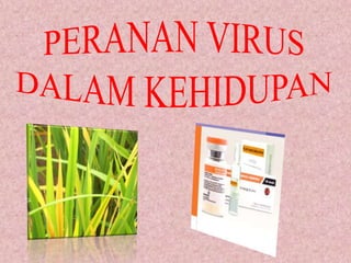 PPT PERANAN VIRUS.pptx