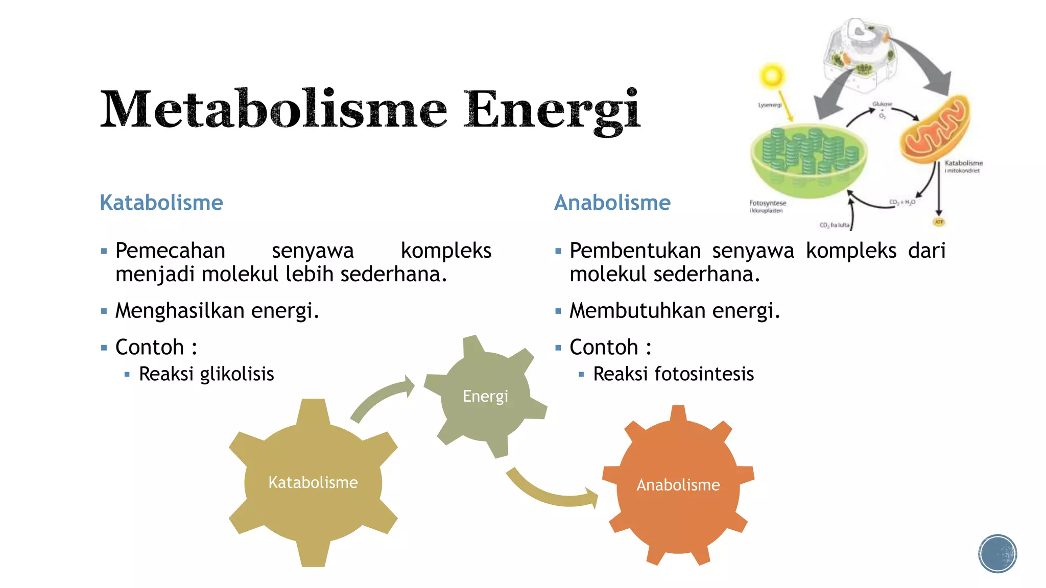 Peran Fe dalam metabolisme zat gizi | PPT