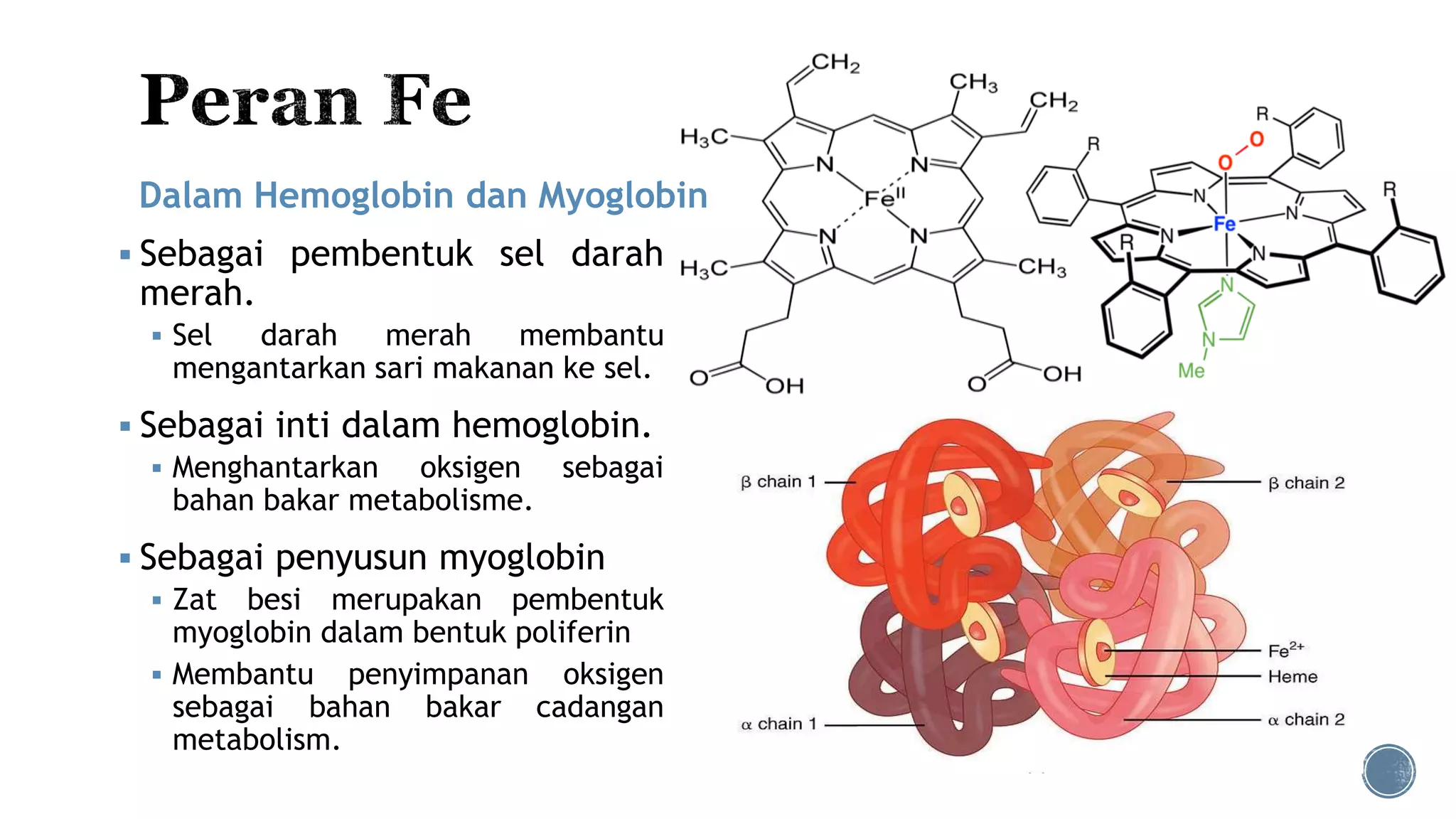 Peran Fe dalam metabolisme zat gizi | PPT