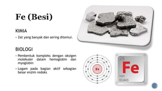 Peran Fe dalam metabolisme zat gizi | PPTX