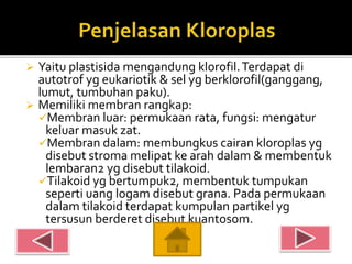 ppt perbedaan sel tumbuhan dengan sel hewan.pptx