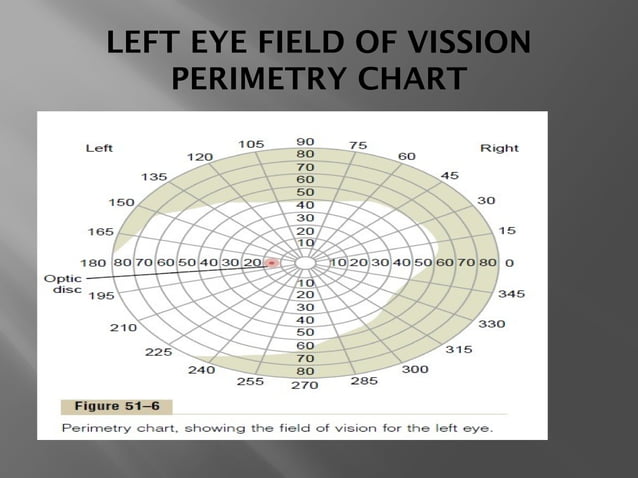 short presentaion on primetry visual field tests | PPT