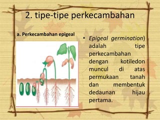 Ppt perkecambahan | PPTX