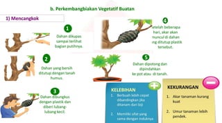 PPT PERKEMBANGBIAKAN TUBUHAN - IPAS KELAS 4 SD - KURIKULUM MERDEKA.pptx