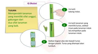 PPT PERKEMBANGBIAKAN TUBUHAN - IPAS KELAS 4 SD - KURIKULUM MERDEKA.pptx