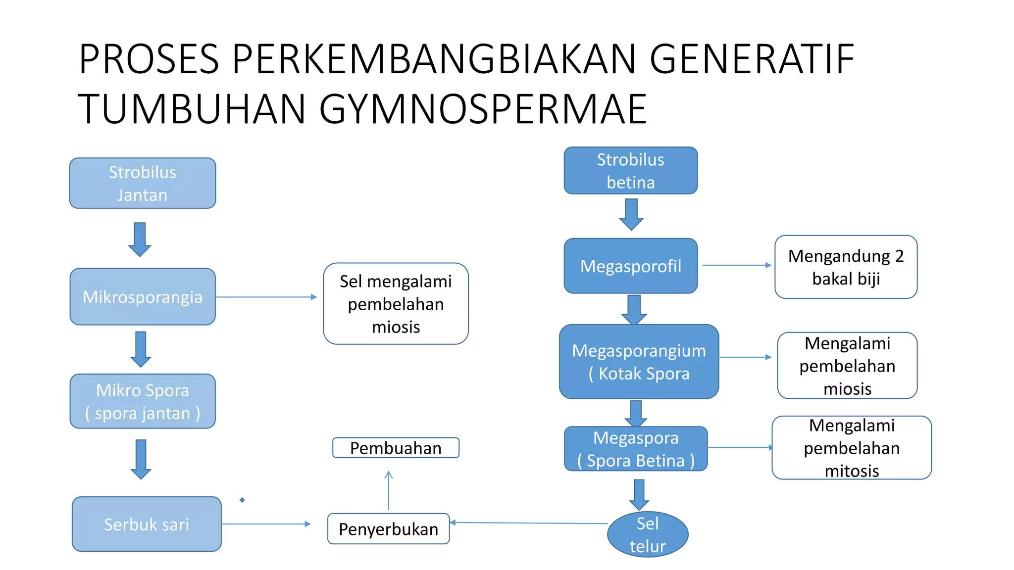 ppt perkembangbiakan tumbuhan gymnospermae.pptx