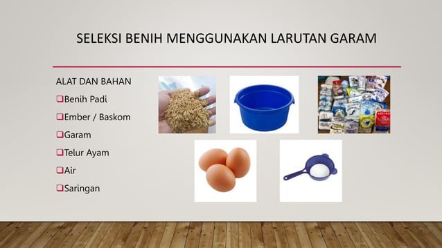 PPT PERLAKUAN BENIH PADI PERSIAPAN SEBELUM TANAM PADI | PPTX