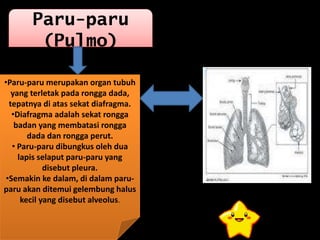 Ppt pernapasan | PPTX