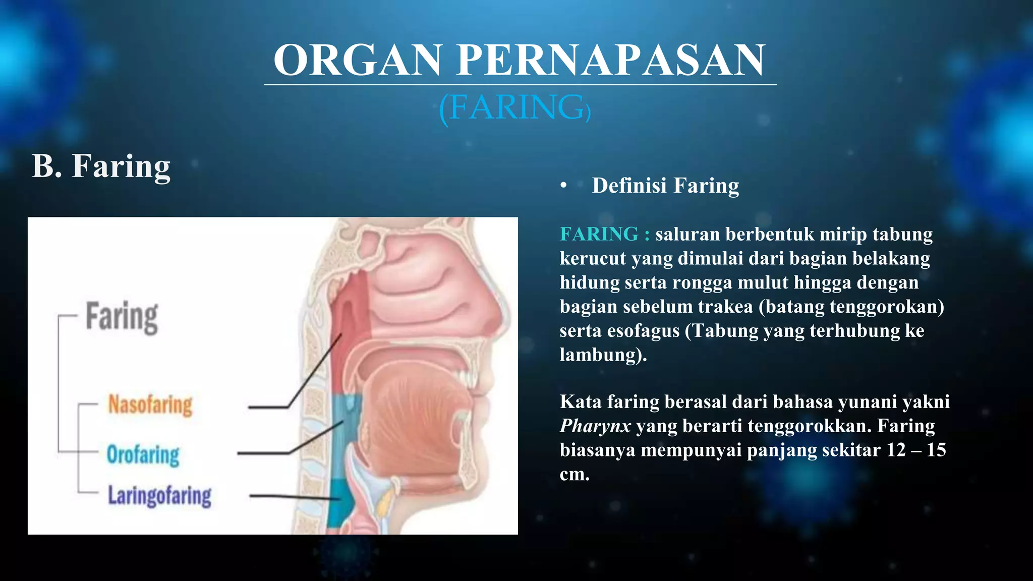 PPT Pernapasan.pptx