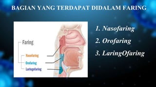 PPT Pernapasan.pptx