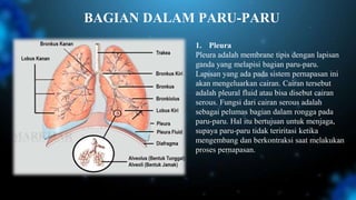 PPT Pernapasan.pptx