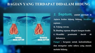PPT Pernapasan.pptx