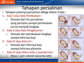 PPT PERSALINAN.pptx