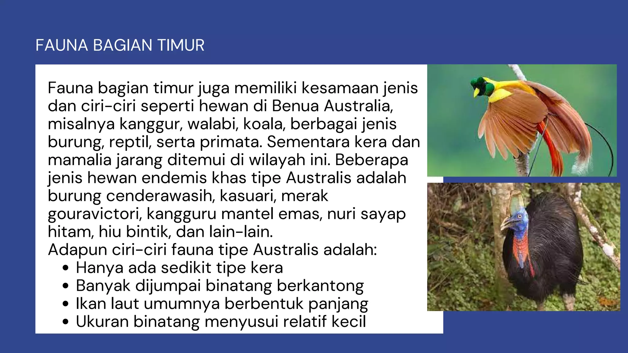 PPT Persebaran Flora dan Fauna.pdf